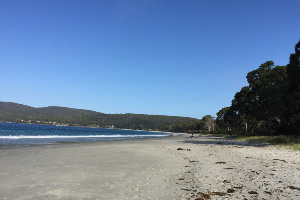 Beaches - Bruny Island Accommodation