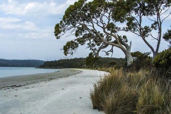 Beaches - Bruny Island Accommodation